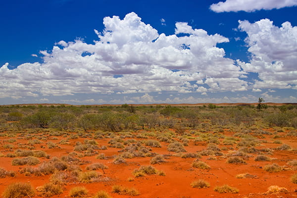 Native Title Year in Review 2024-2025 | Ashurst