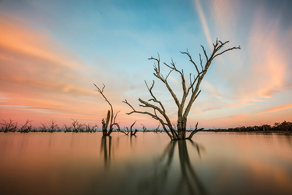 Native Title Year in Review 2024-2025 | Ashurst