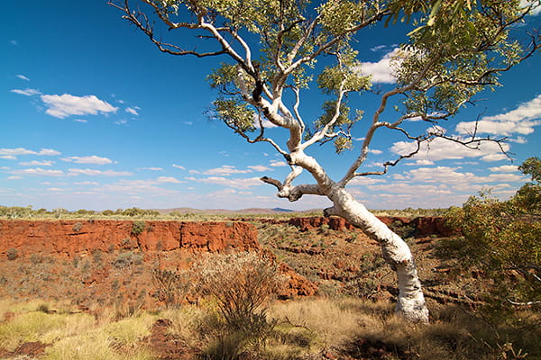 Native Title Year in Review 2024-2025 | Ashurst